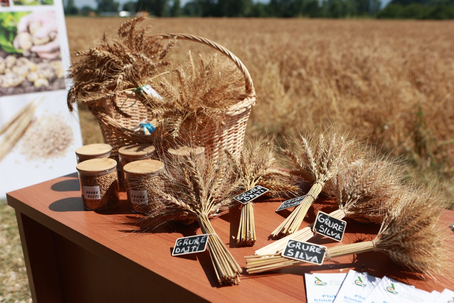 Ministria e Bujqësisë dhe Zhvillimit Rural